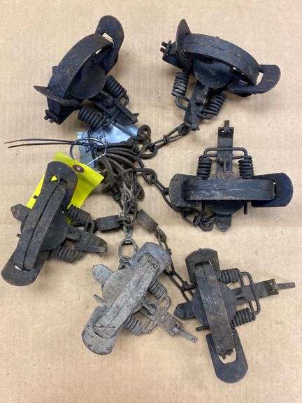 Lot of 6 - Victor Size 1 1/2 Double Coil Spring Traps Animal Foot ...