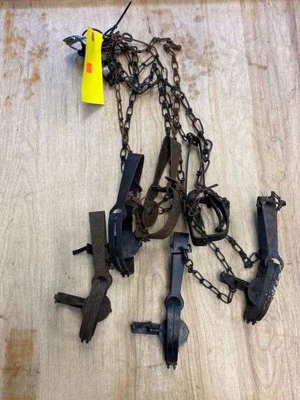 Lot of 6 - Assorted #1 Single Long Spring Traps Animal Foot - Bartkus ...