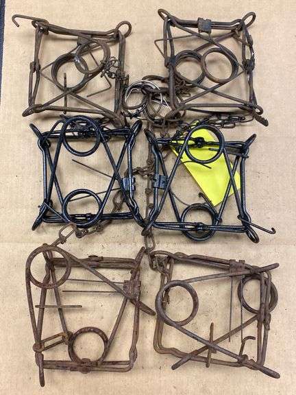 Lot of 6 - 110 Conibear DOUBLE Spring Traps Animal Foot - Bartkus ...