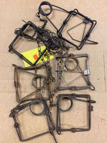 Lot of 6 - 110 Conibear Single Spring Traps Animal Foot - Bartkus ...