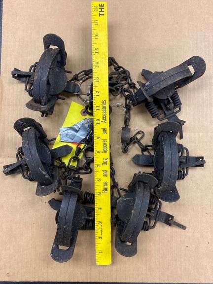 Lot of 6 - Victor Size 1 1/2 Double Coil Spring Traps Animal Foot ...