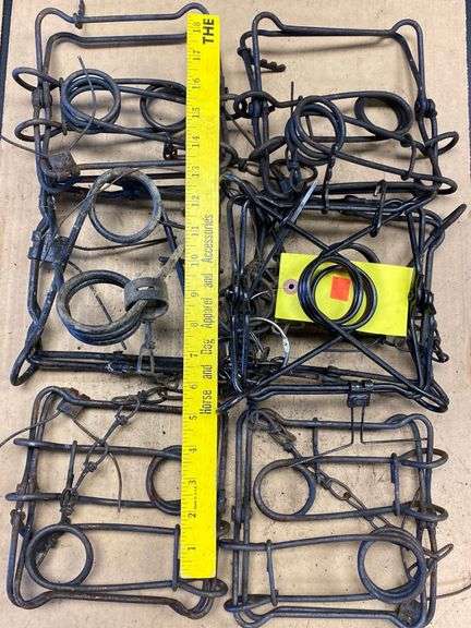 Lot of 6 - 160 Conibear DOUBLE Spring Traps Animal Foot - Bartkus ...