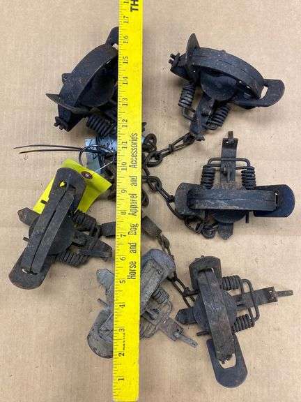 Lot of 6 - Victor Size 1 1/2 Double Coil Spring Traps Animal Foot ...