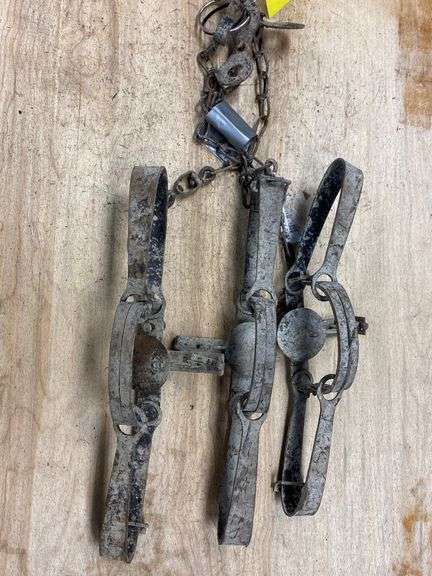 Lot of 3 - B&L #3 Double Long Spring Traps Animal Foot - Bartkus ...