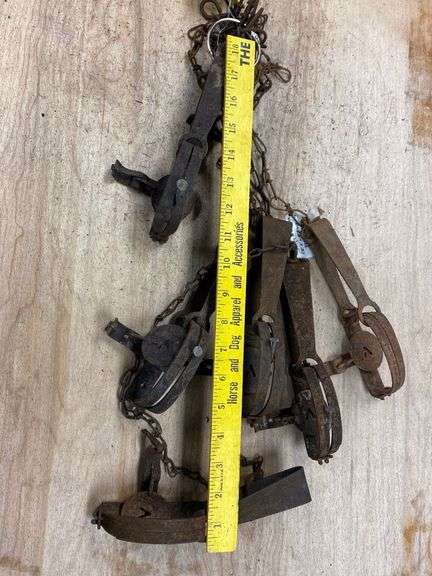 Lot of 6 - Victor #1 Single Long Spring Traps Animal Foot - Bartkus ...
