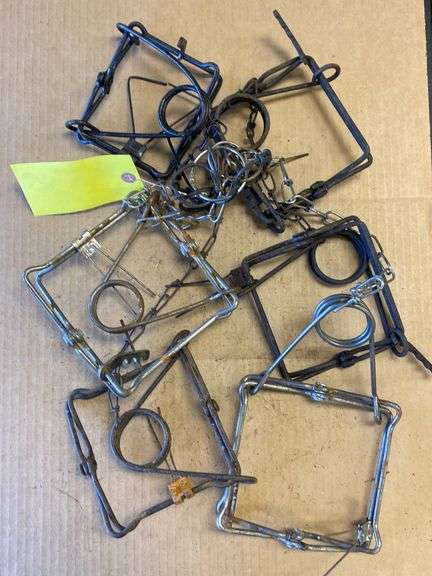 Lot of 6 - 110 Conibear Single Spring Traps Animal Foot - Bartkus ...