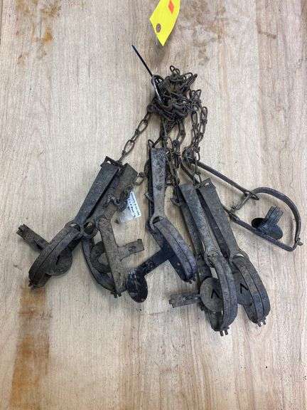 Lot of 6 - Assorted #1 Single Long Spring Traps Animal Foot - Bartkus ...