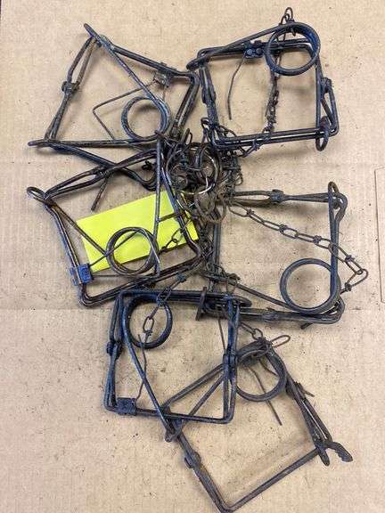 Lot of 6 - 110 Conibear Single Spring Traps Animal Foot - Bartkus ...