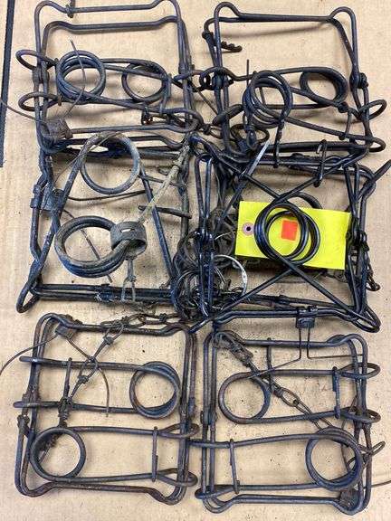 Lot of 6 - 160 Conibear DOUBLE Spring Traps Animal Foot - Bartkus ...