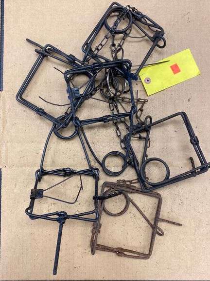 Lot of 6 - 110 Conibear Single Spring Traps Animal Foot - Bartkus ...