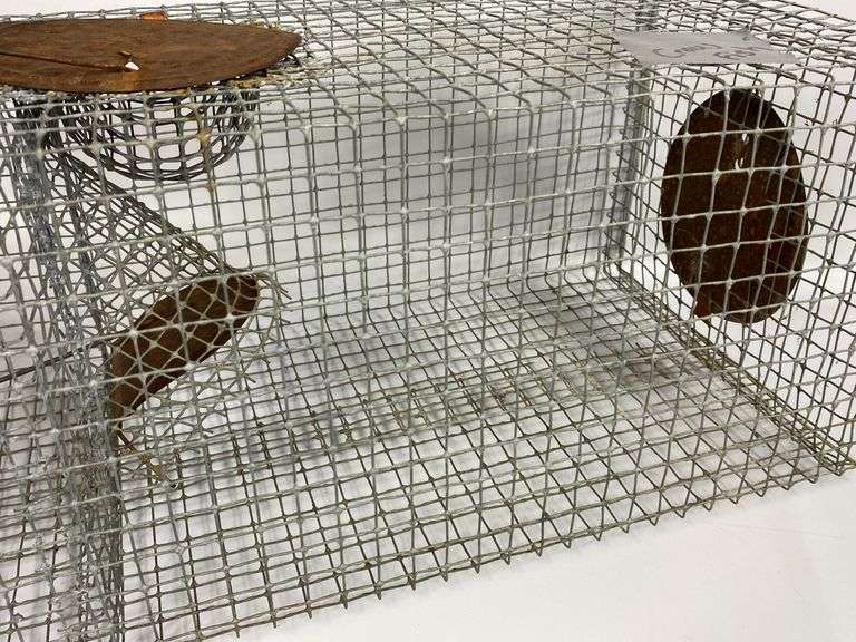 Minnow Cage Bucket & Crawdad Crawfish Trap Catcher - Bartkus Auctioneers