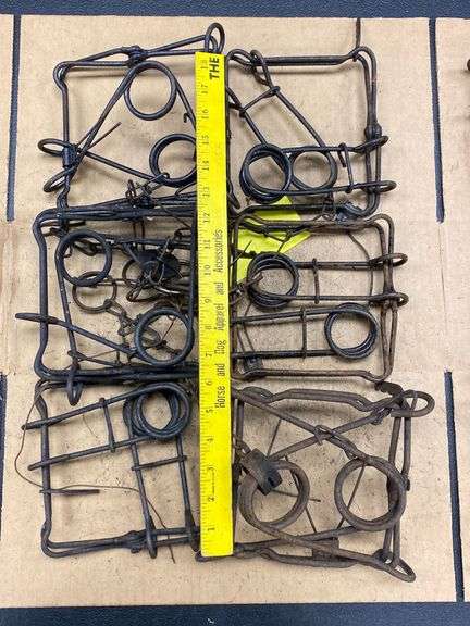 Lot of 6 - 160 Conibear DOUBLE Spring Traps Animal Foot - Bartkus ...