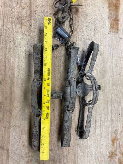 Lot of 3 - B&L #3 Double Long Spring Traps Animal Foot - Bartkus ...