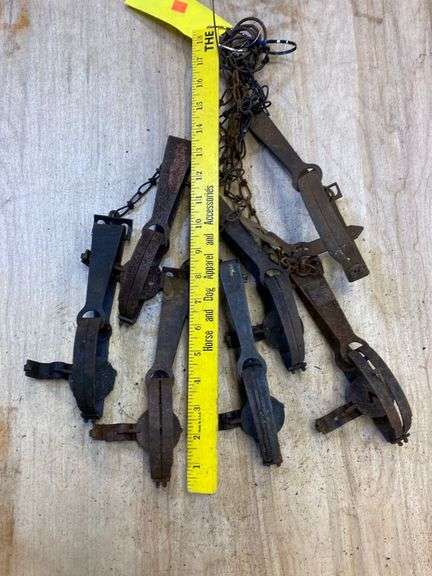 Lot of 6 - #0 Single Long Spring Traps Animal Foot - Bartkus Auctioneers