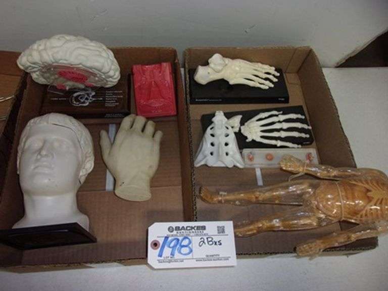 Vintage medical office displays - Backes Commercial Auctioneers