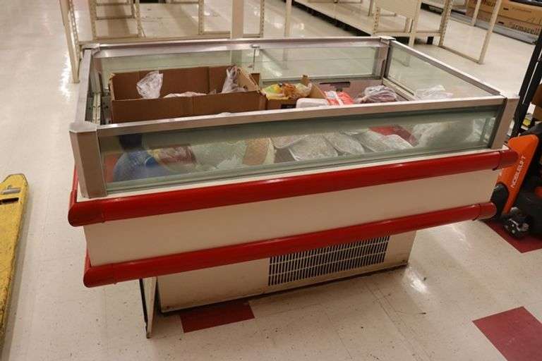 Hussmann 1SFGG-5B self contained 3' x 56' bunker freezer - 115 volt - 1 ...