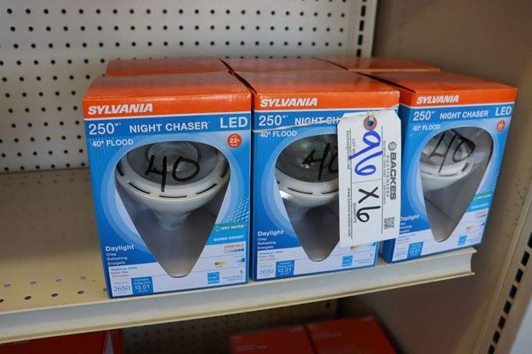 Times 6 - Sylvania 250 watt LED night chaser light bulbs - Backes ...