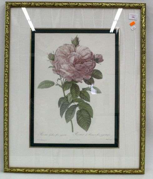 Bombay Company "The Rose" by Pierre-Joseph Redoute (1759-1840) - 29 x ...