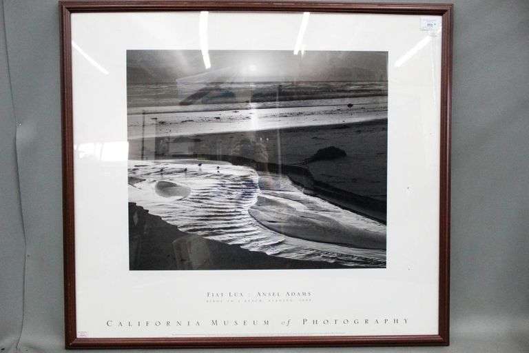 Ansel Adams Fiat Lux Birds on a Beach Evening 1966 California Museum of ...