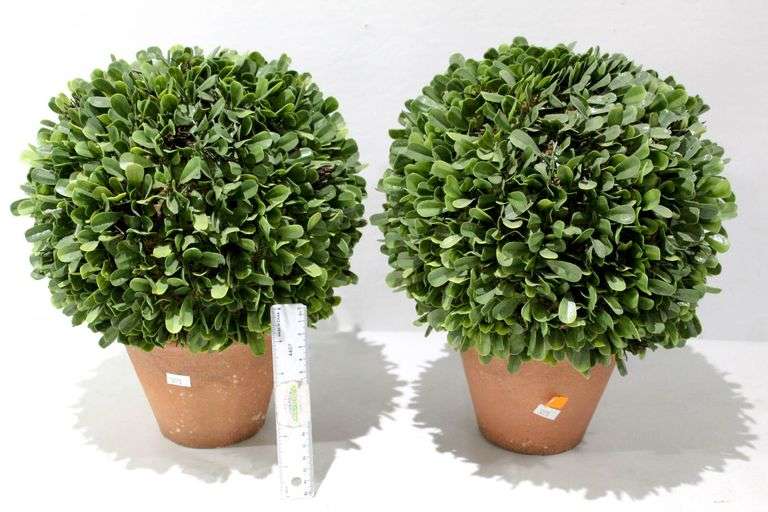 Realistic Globe Topiary style potted plants - two plants - 14 x 18 each ...
