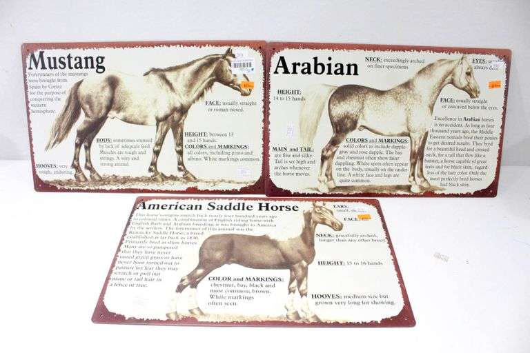 Metal Horse Signs featuring Mustang, Arabian and American Saddle Horses ...