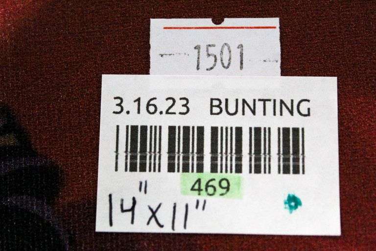 Pacoway Paco Art on Canvas - Marked Paco - Art That Inspires Collection ...