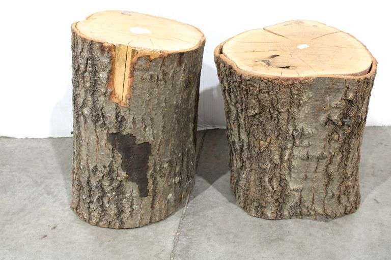Live Edge Tree Segments - Two Pieces - 16 x 11 x 11 - Bunting Online ...