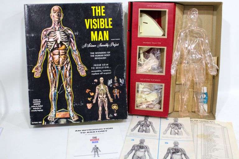 The Invisible Man - Vintage Learning Toy with Box - Bunting Online Auctions