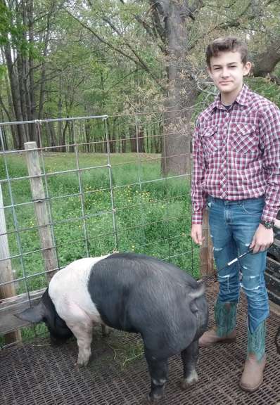 Kaiden Davidson - Breeders World