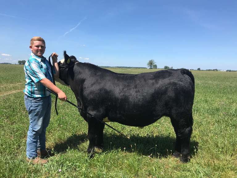 Luke Furbee Madison Plains FFA - Breeders World