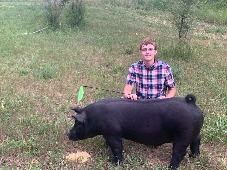 Jacob Baker Claypool Classics - Breeders World