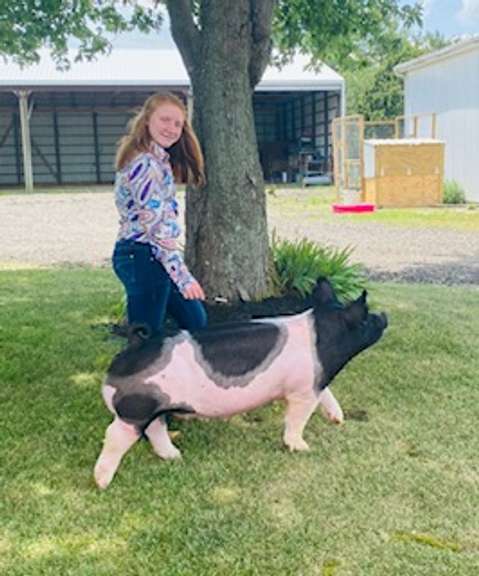 Mackenzie Reeves Green Range - Breeders World