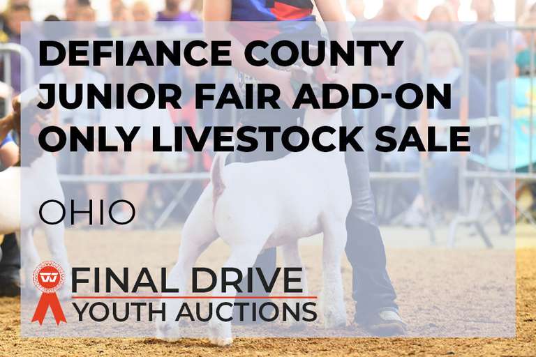 Hayden Bok Mark Blue Ribbon 4-H Club - Breeders World