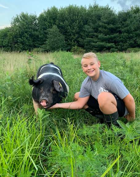 Breslin Defrees . - Breeders World