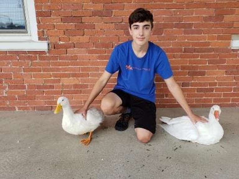 Goose Champion: Julian Schroeder . - Breeders World