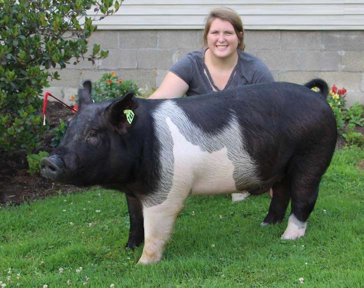 Courtney Hess Living on Livestock 4-H Club - Breeders World