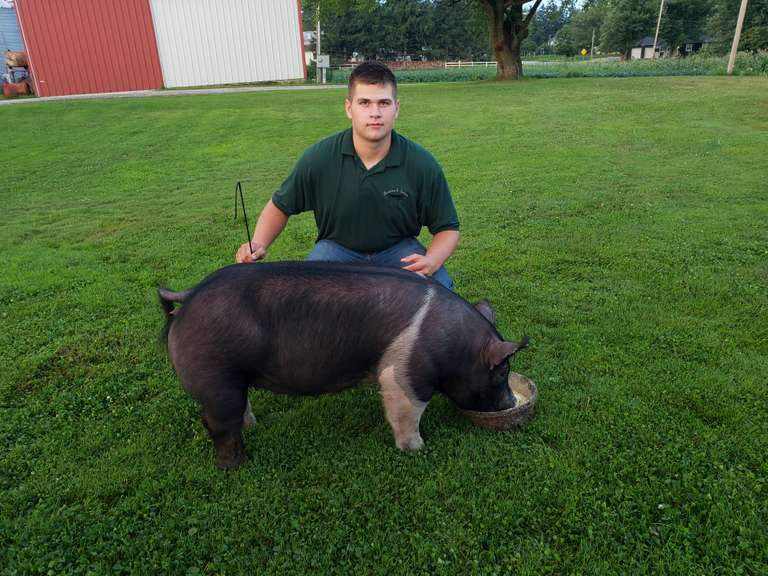 Mike Soltis Breeders & Feeders - Breeders World