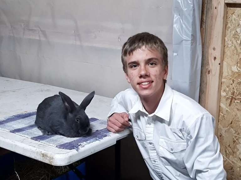 Braden Roth Royal Rabbits 4-H Club - Breeders World