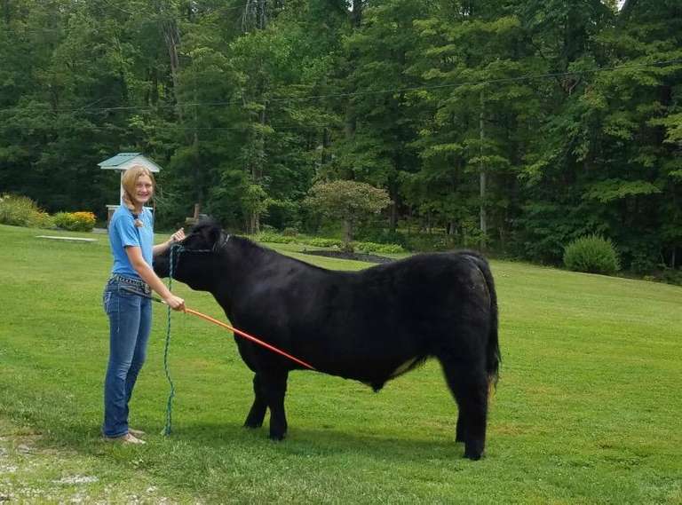 Savannah Laurenty Geauga Beef & Swine - Breeders World