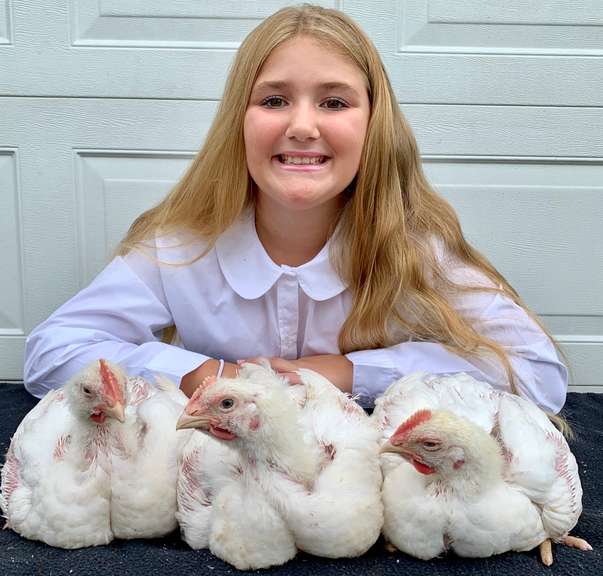 Kenleigh Disbennett Barnyard Busters - Breeders World