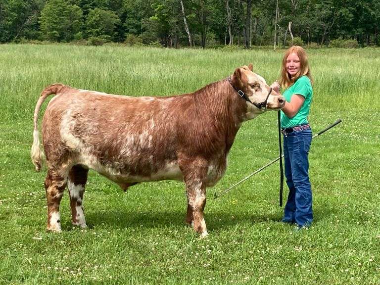 Haylee Taylor Breeders & Feeders - Breeders World