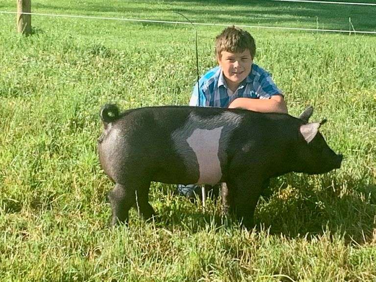 Mason Adams Geauga Beef and Swine - Breeders World
