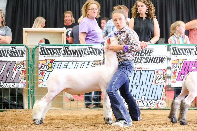 Brynn Huntsman Barnyard Boosters - Breeders World