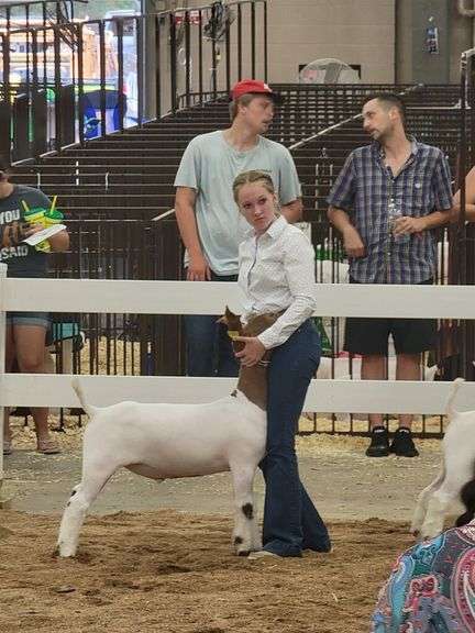 Landree Stump - Reserve Grand Champion Market Goat - Breeders World
