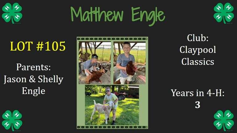 Matthew Engle Claypool Classics - Breeders World