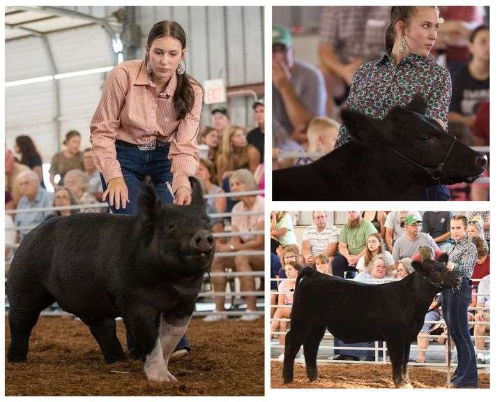 Mallorie Williams Wynford FFA & Mt. Zion Buckeyes - Breeders World