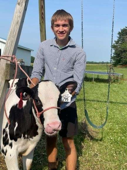 Isaac Parsons Buckeye Stars - Breeders World