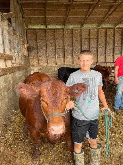 Porter Lafontaine New Riegel Rawhide & Woolies - Breeders World