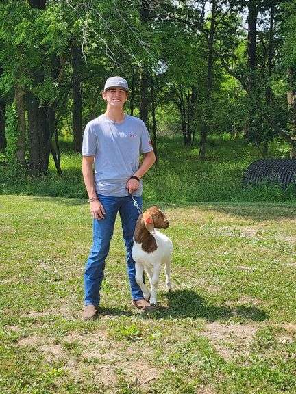 Braxtyn Sqrow Barnyard guys and gals - Breeders World