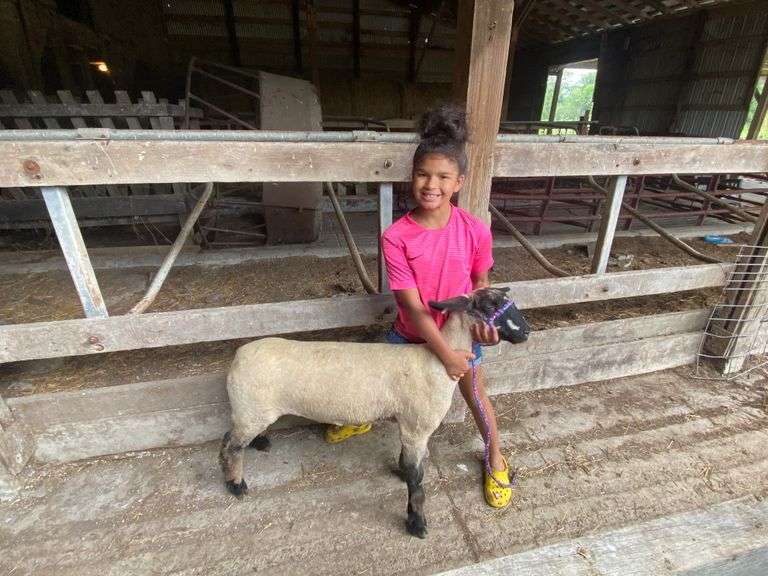 Justice Nelson Farmyard Critters - Breeders World